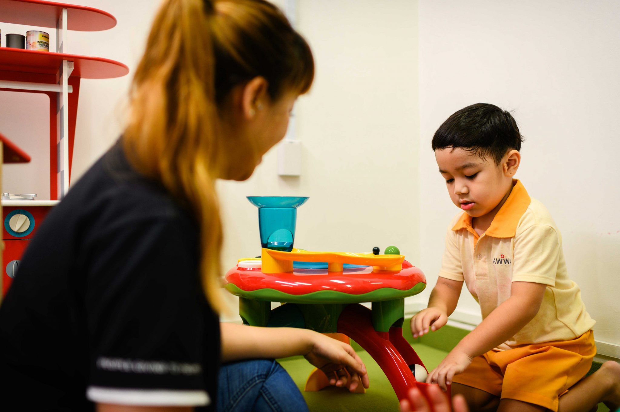 Development Support & Learning Support Programme - AWWA